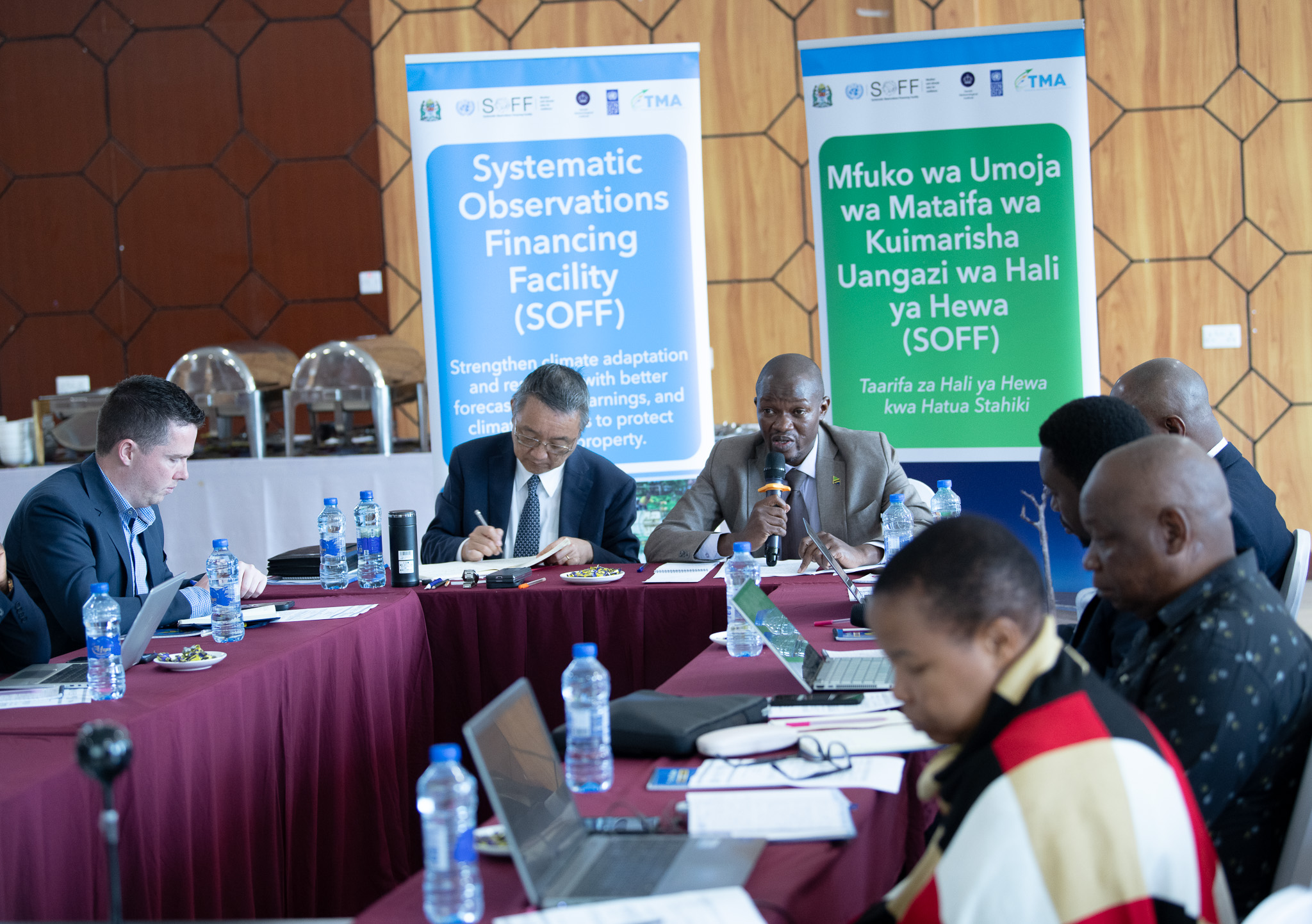Tanzania: First meeting of Project Steering Committee for SOFF implementation - Systematic ...